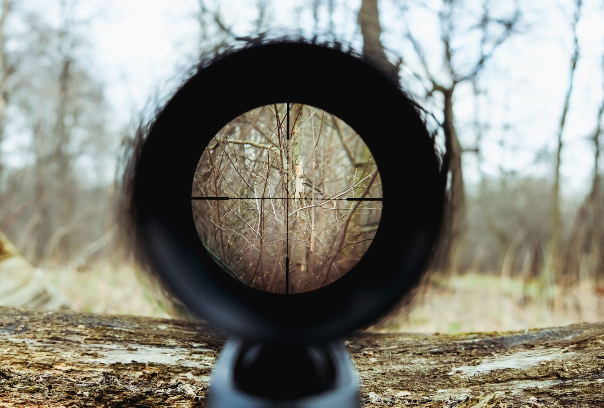 How to Choose the Best Optics for Your Air Gun | AirFire